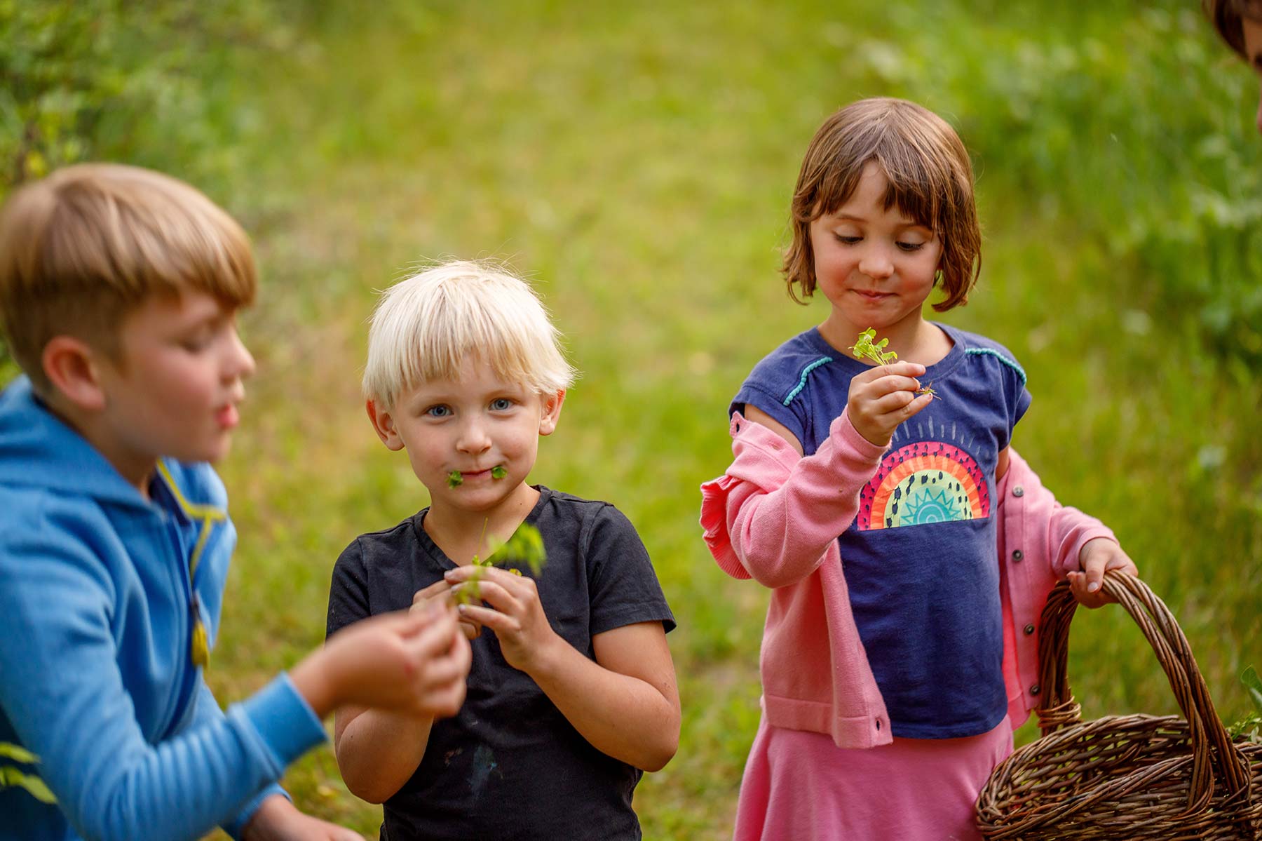 Luna Hill Farm Wild School celebrates curiosity and nurtures wonder