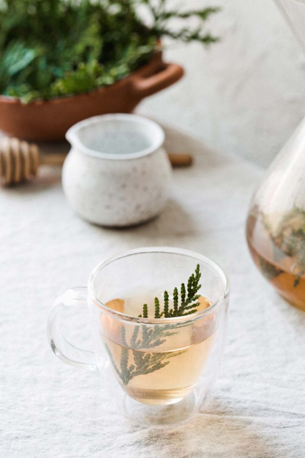 Cedar Tea
